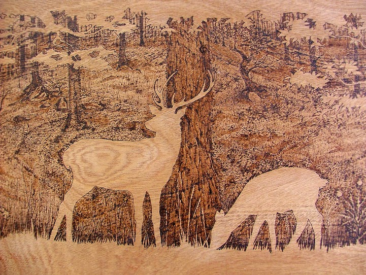 Stanley's pictures: We Have Featured Artists Who Have Used Pyrography ...
