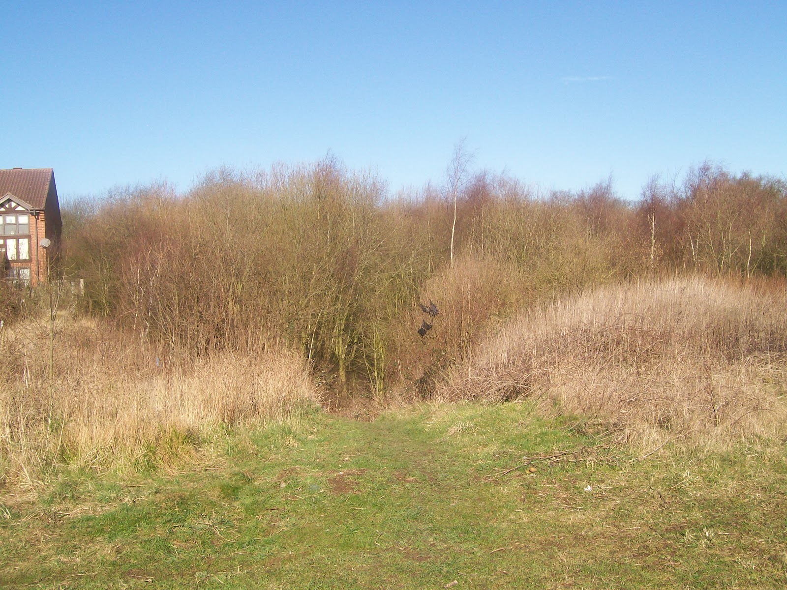 Walking the LD&ECR: 2012