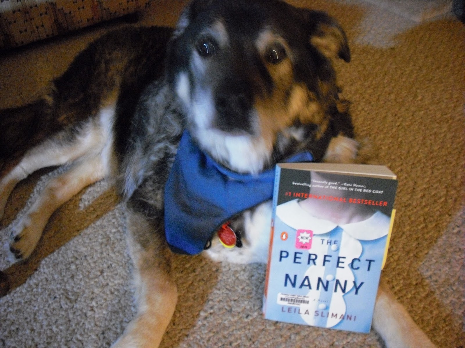 Grab A Book From Our Stack: "The Perfect Nanny" by Leila Slimani