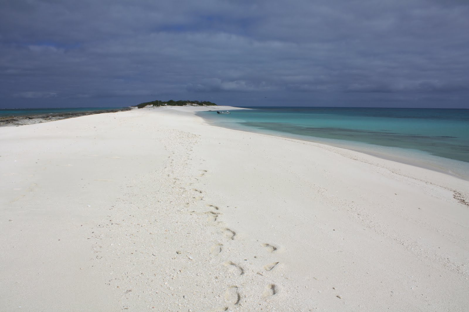 Emily Grace: Chesterfield Reef