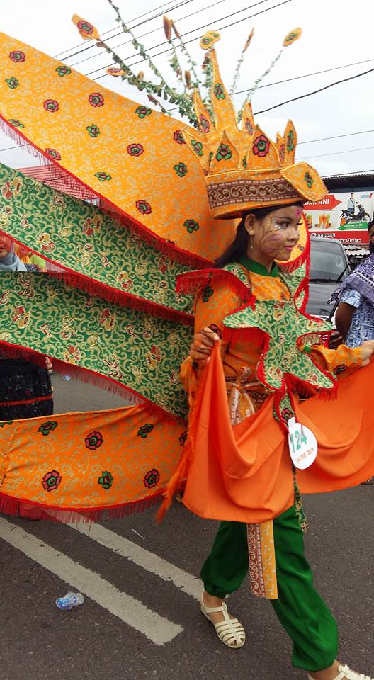 30 Model Baju Karnaval Bunga - Model Baju Terbaru dan Update 2019 - 2020