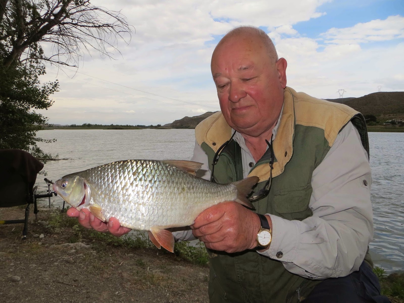 Travelling Man: Big river roach.