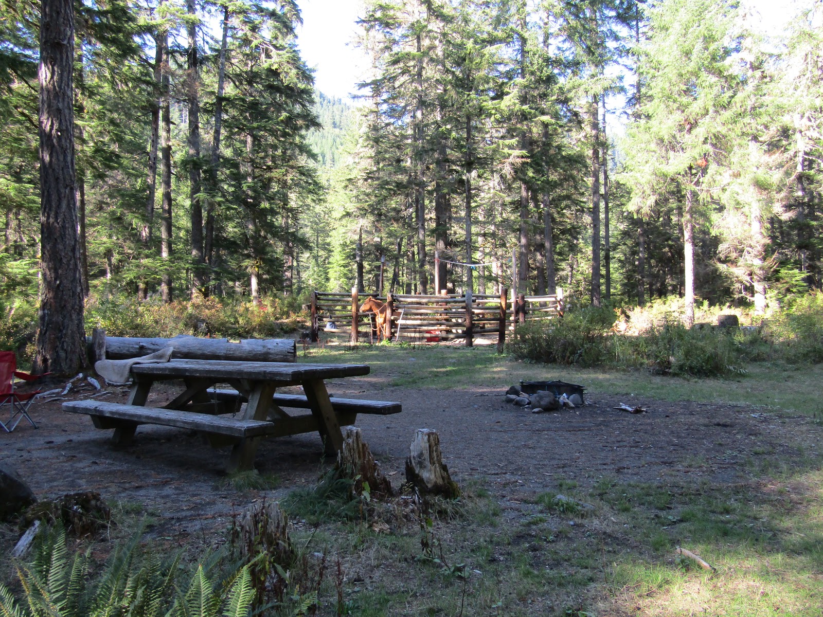 Holly's Horse Tales and Trails: Kalama Horse Camp, (Mt. St. Helens ...