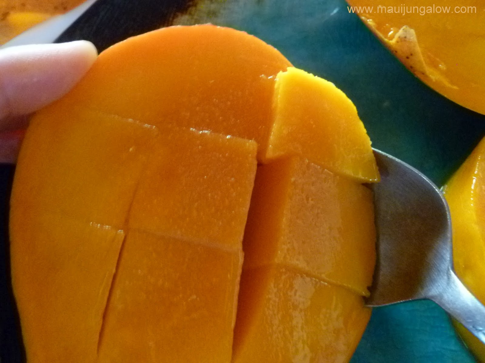 Maui Jungalow: Cutting a Mango