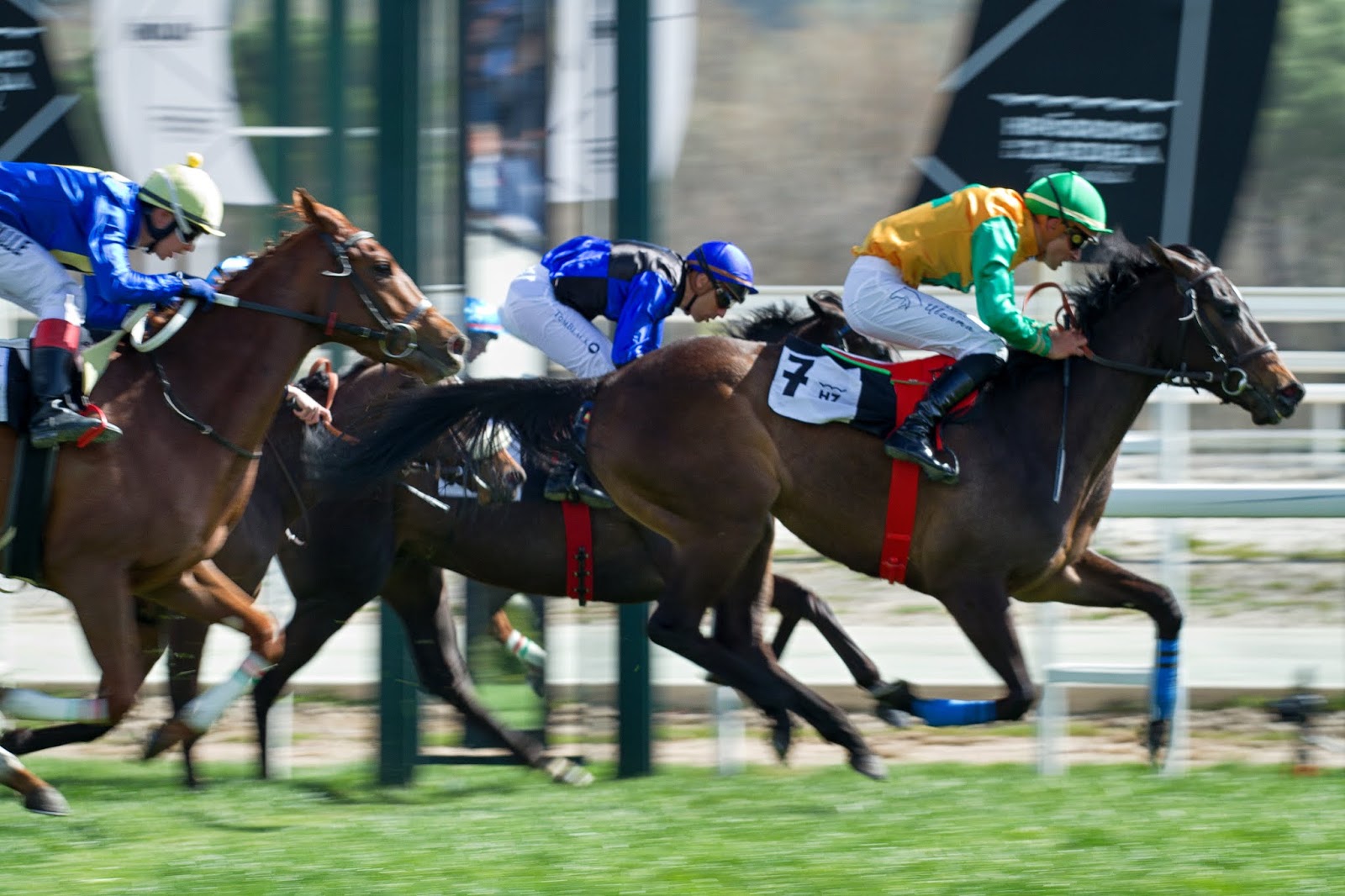 Turf Stats: CRONICA DE LA ZARZUELA - 17 MARZO 2019