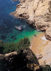 HOTEL PLATJA PARK H.TOP: PLAYA - BEACH - PLAGE CALA JONCA SANT FELIU DE ...