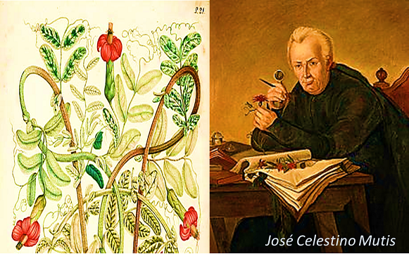 La Real Expedición Botánica