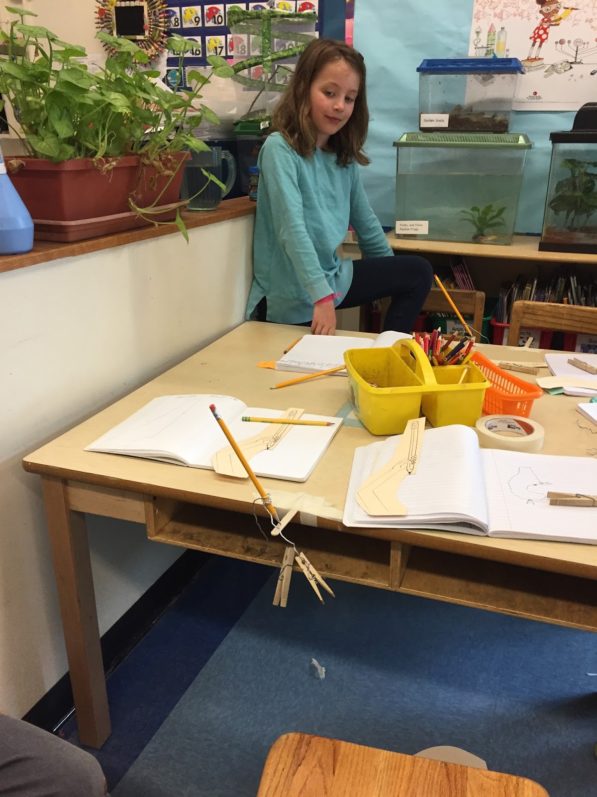 What's Happening in Lower Science?: Balancing a Pencil on the Tip!