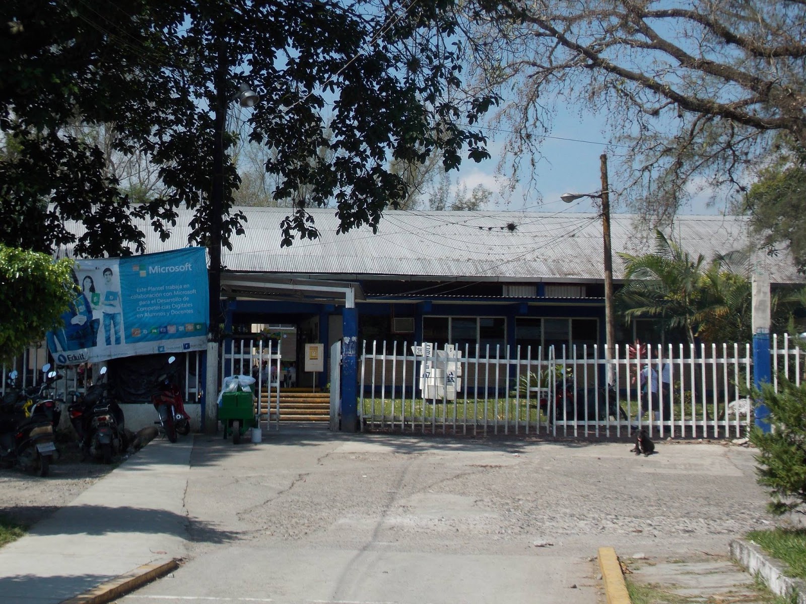 CBTis 67 de Misantla, 'Escuela Saludable' - Noticiero G ::: Diario Digital