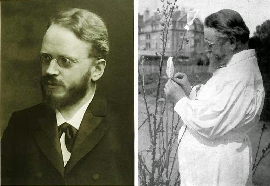 Carl Correns - Alchetron, The Free Social Encyclopedia