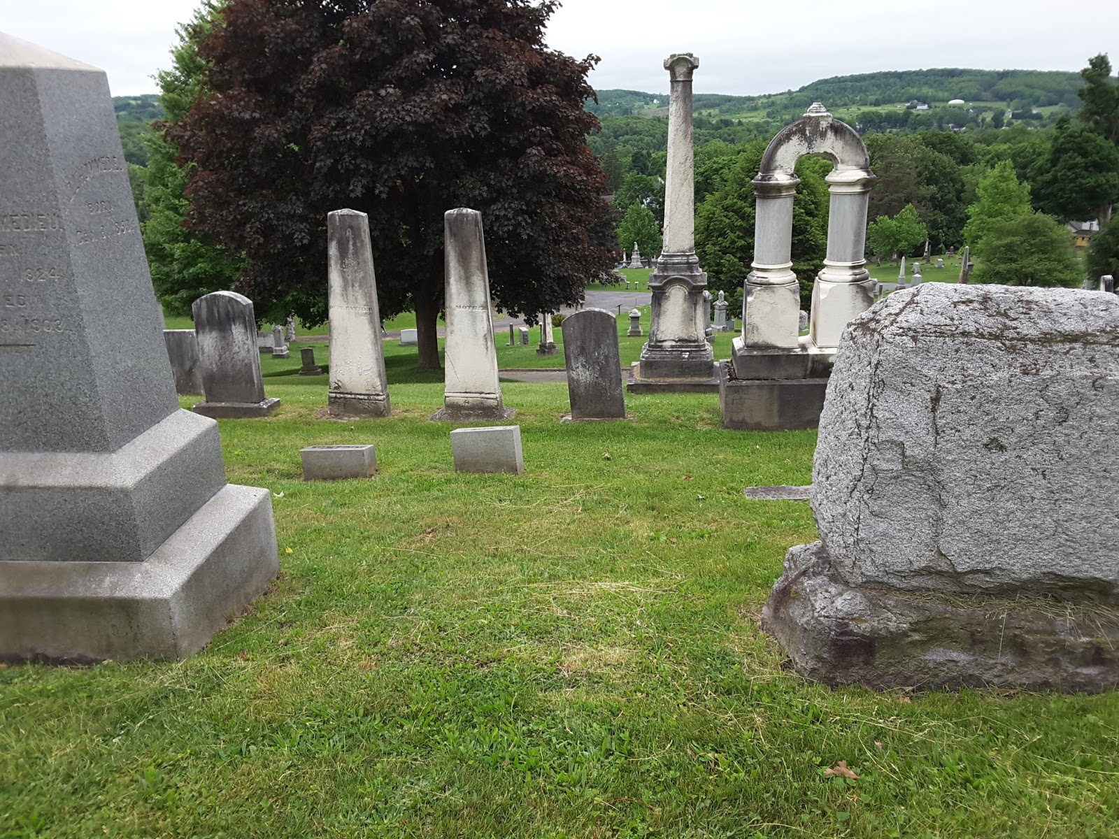 The Science Notebook : Cemetery Series: Death and the Environment