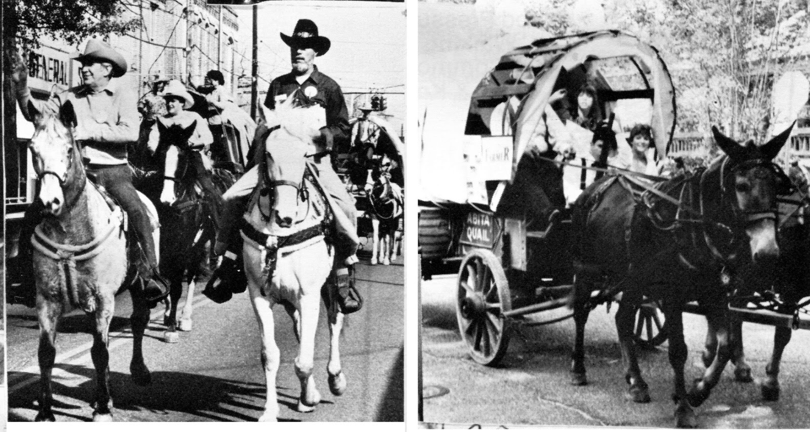 Tammany Family: Dixie Trail Ride