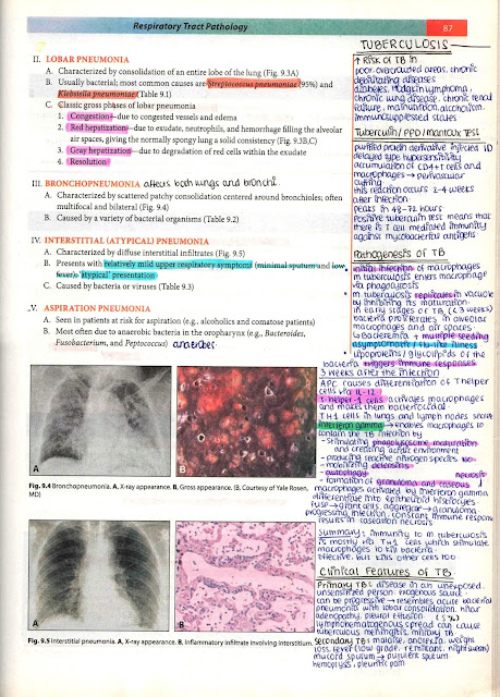 The Complete Guide on How to Study Pathology in Med School