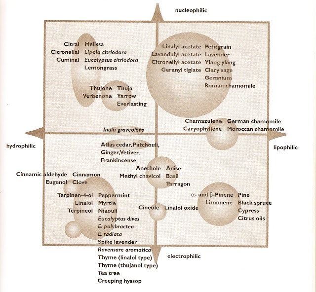 Renew: Essential Oils 301: Chemical Properties