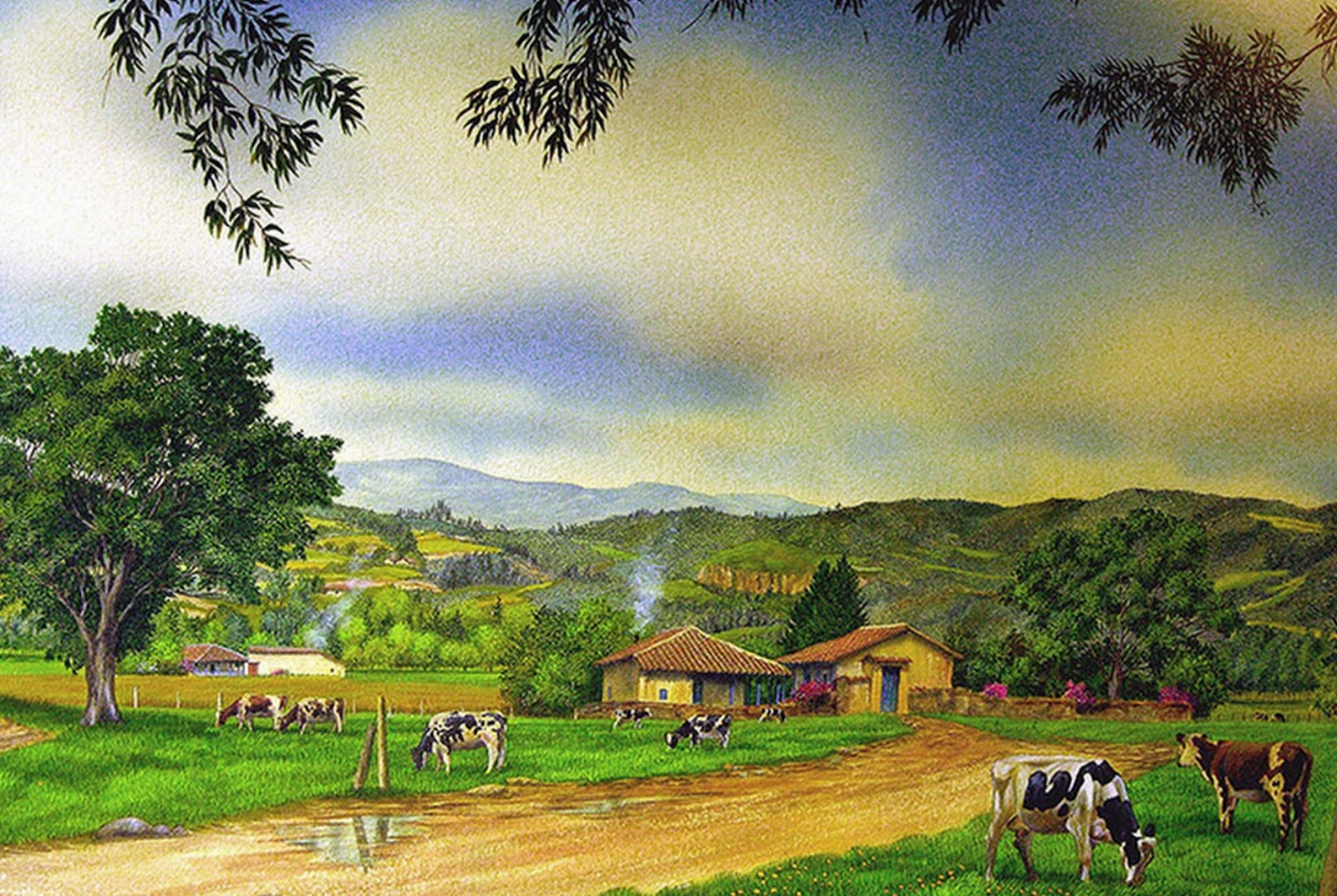 Imagenes de paisajes de campo - Imagui