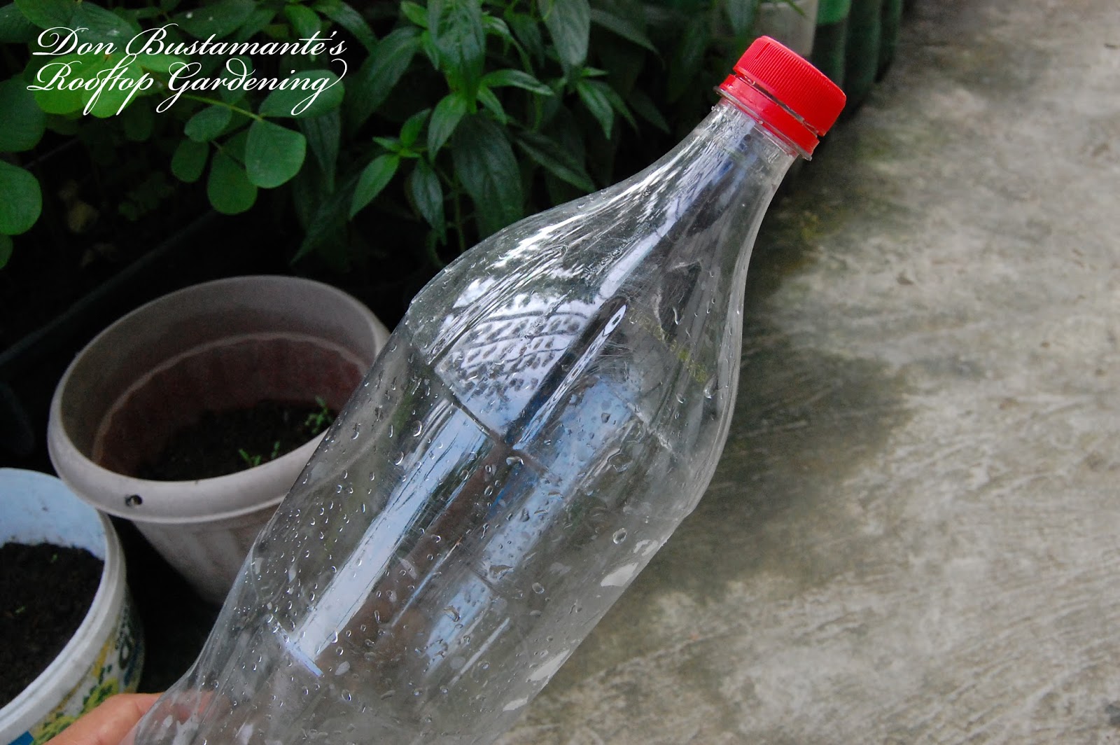 Don Bustamante's Rooftop Garden: How To Make Self Watering Plastic Bottle