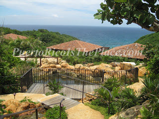 Puerto Rico Is The Place: Exploring Royal Isabela Resort In Puerto Rico