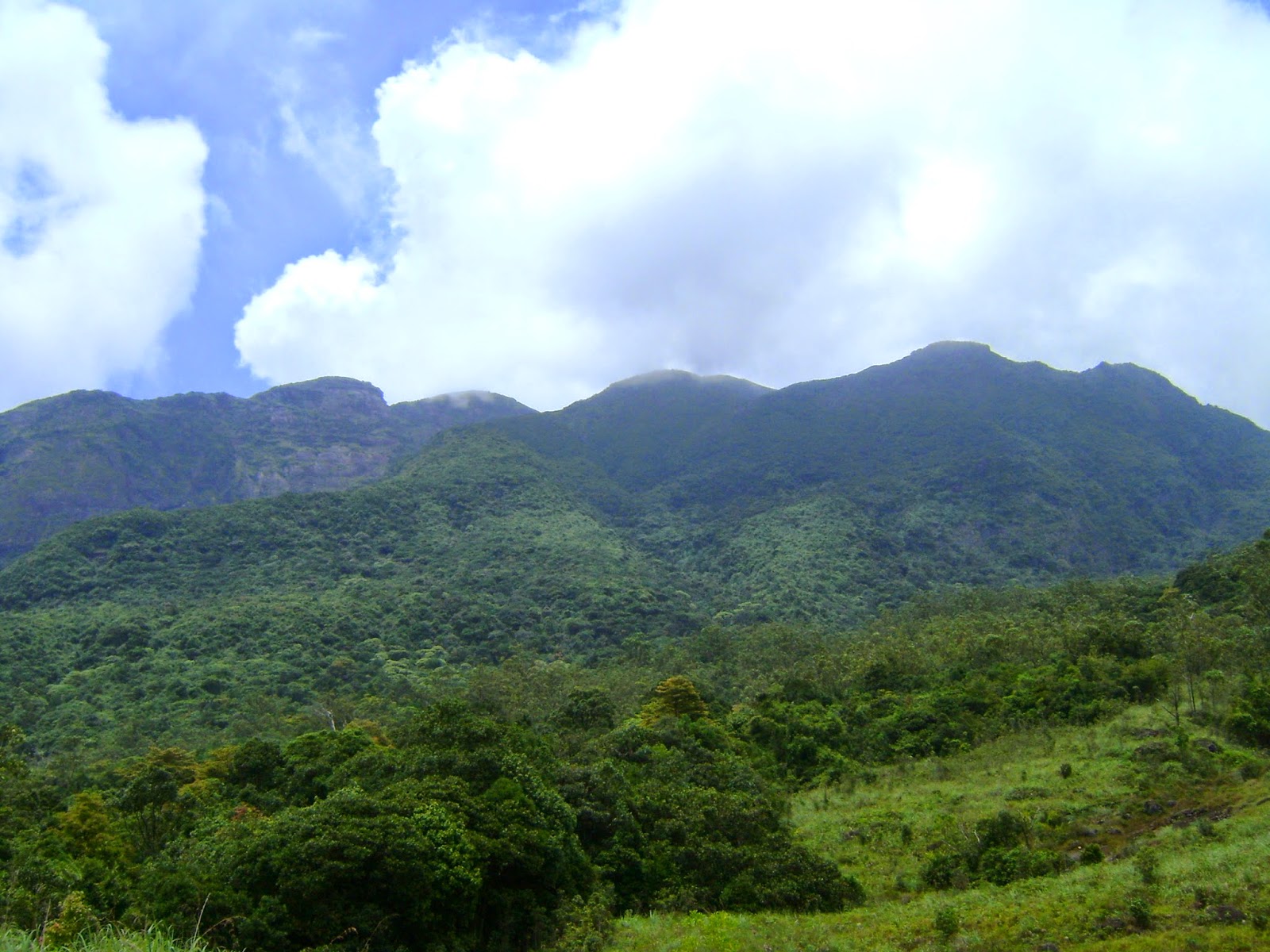 Safari Sri Lanka: Central Highlands of Sri Lanka - Knuckles Range of ...