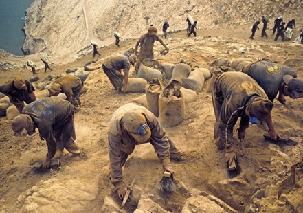 Maira Camargo: El guano