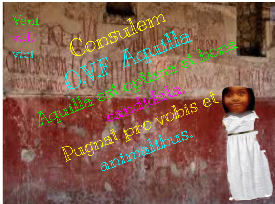 Woods in Latin: Roman Political Graffiti Gets Modernized