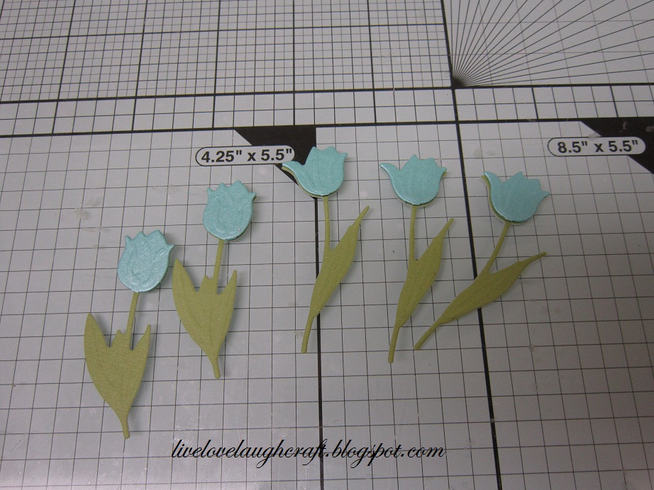 Pinnacle Crafts: Has Spring sprung?.....