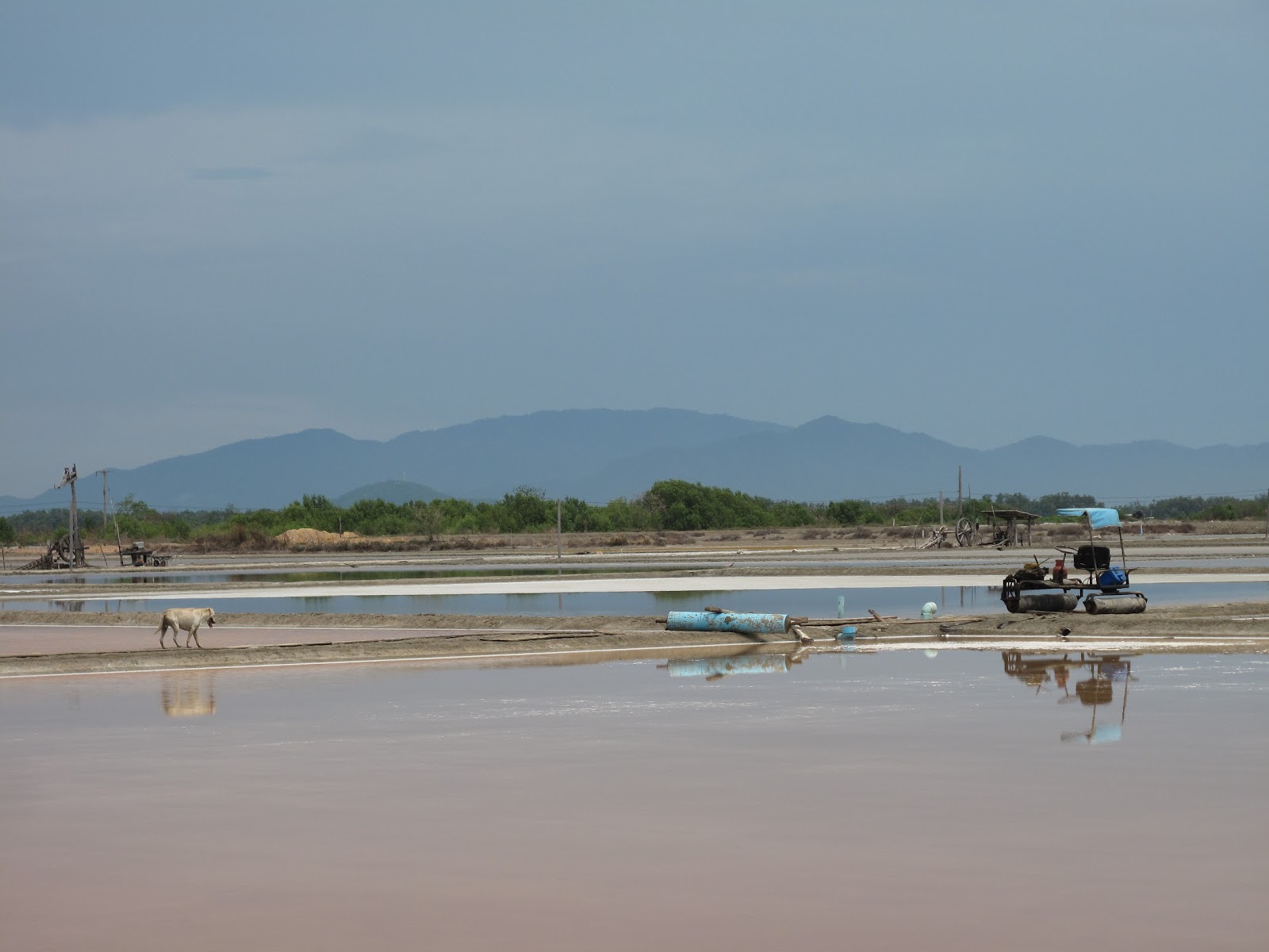 Thai Sanoo: เกลือสมุทร