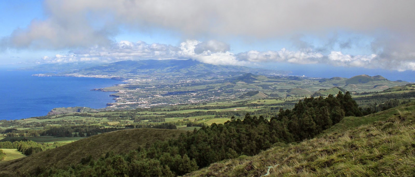 Non-Stop Birding: Azores Natural History Exploration Tour Recce