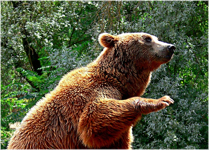 Foto-Natura-Huesca: 2012