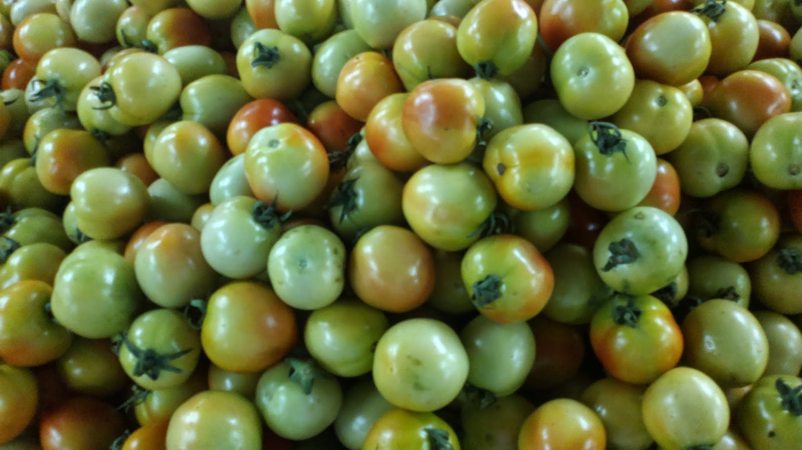 Jerome Doe: Sidetrip: Candido Lopez Public Market in Lipa, Batangas