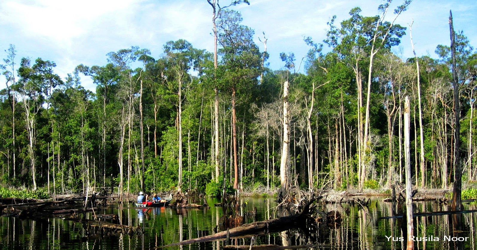 RAWA: RAWA DAN PENYEBAB KERUSAKANNYA