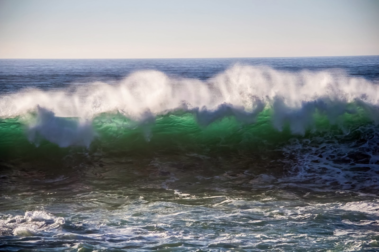 STX Photography by Carlon Cathey - www.stxwavephotography.com: Greenie ...