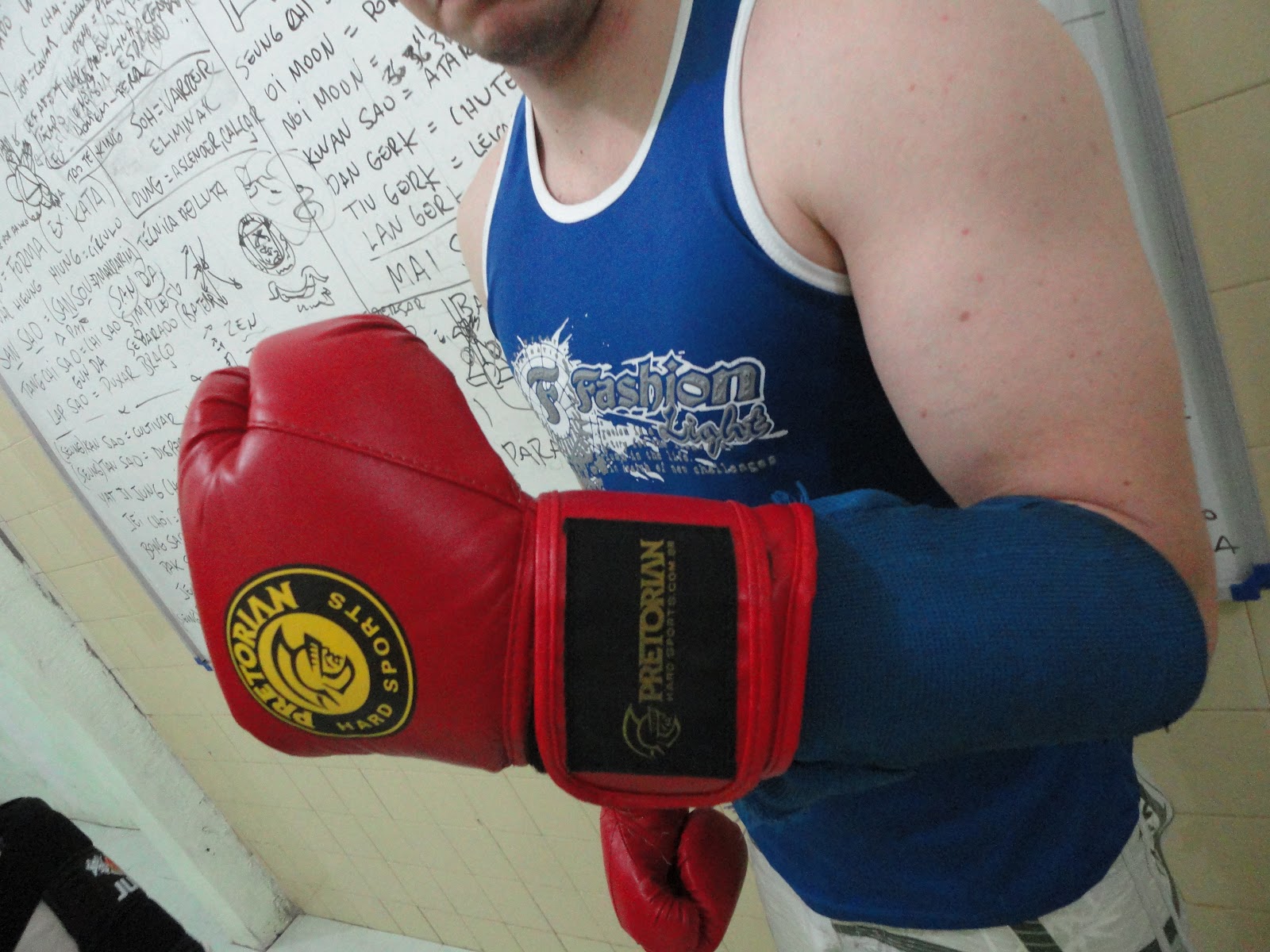 Blog do Dido / Brazilian Wing Chun Academy : Discussão sobre Pak Sau ...