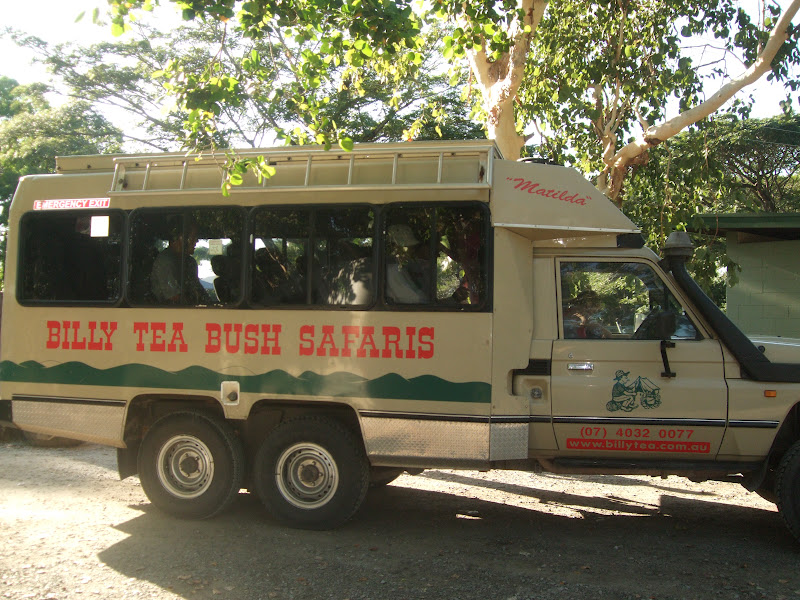 Dionne Family: Billy Tea Bush Safaris Daintree Rainforest - Cape ...