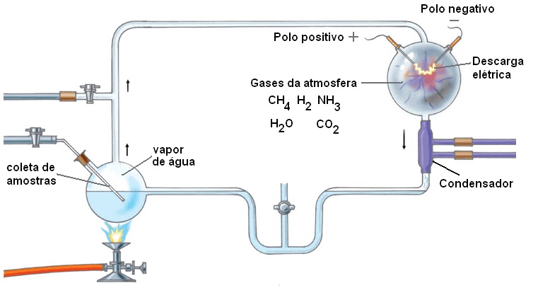 Colectivo1128903: EL EXPERIMENTO DE STANLEY L. MILLER