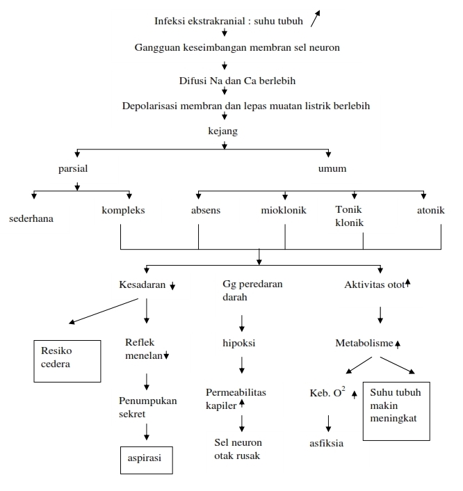 Trend Masa Kini Pathway Kejang Demam