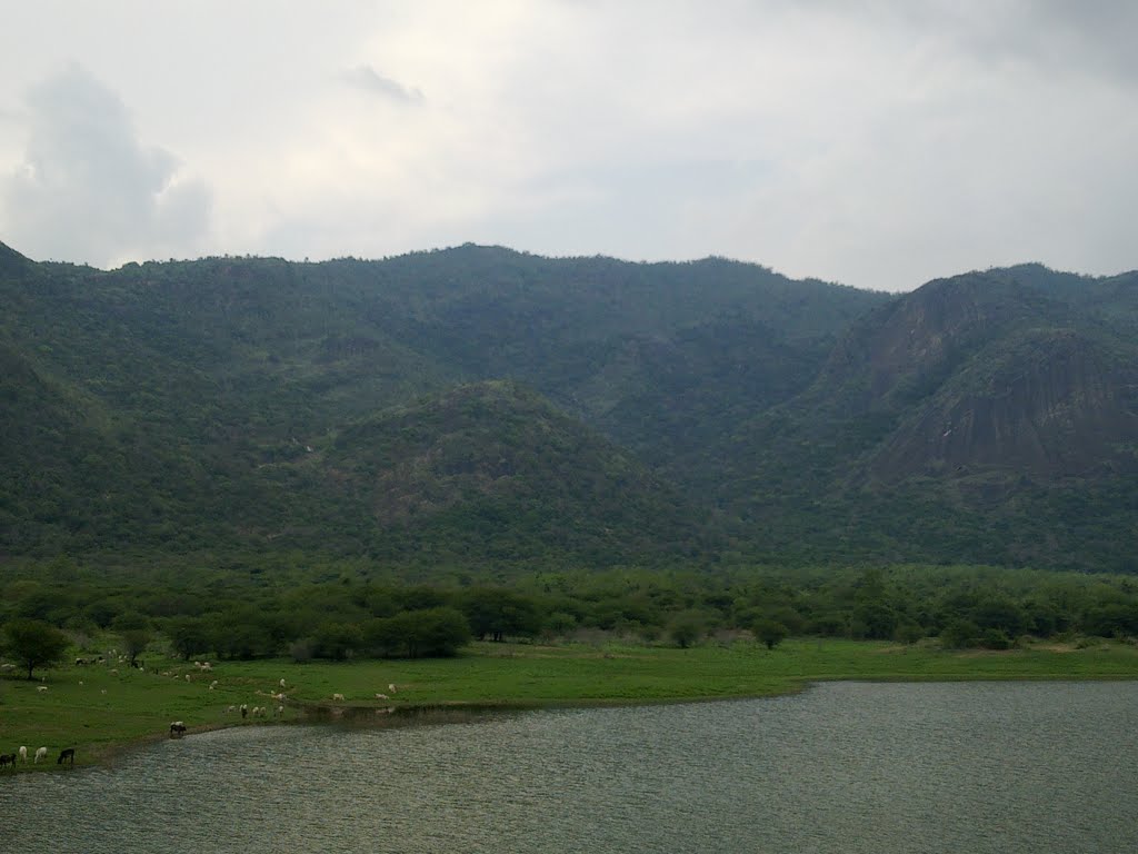 Tamilnadu Tourism: Pilavakkal Dam, Vathirairuppu (Watrap), Virudhunagar