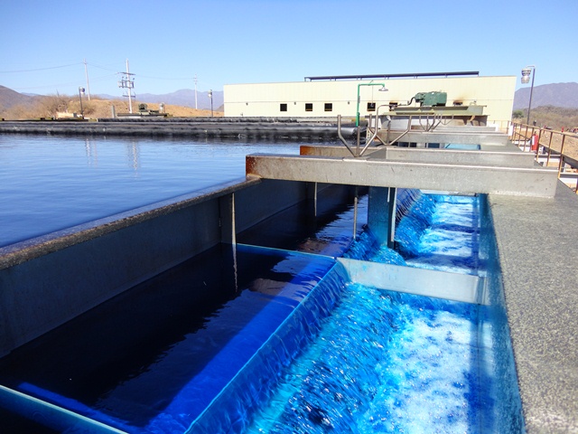 savvy-chemist: GCSE OCR Gateway Chemistry C6.1c Extracting copper using ...