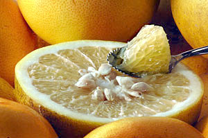 Variety Of Grapefruit Types,Oro blanco,Ruby Red,Pink,Thompson,White ...