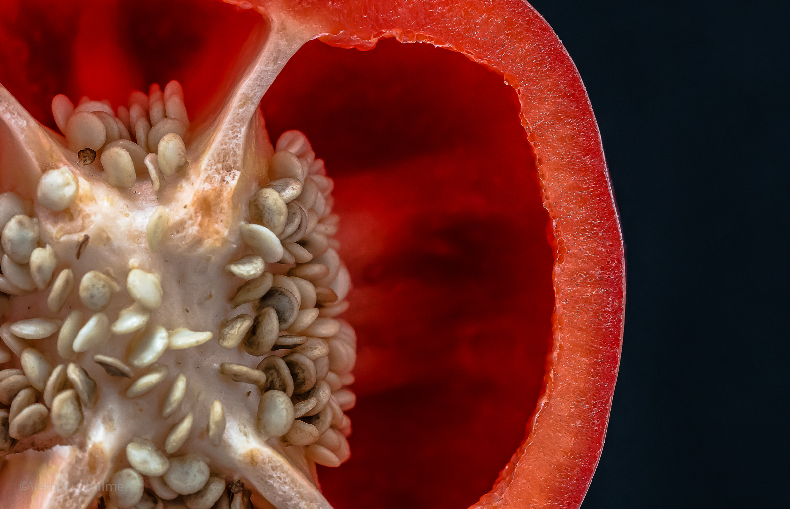 Vernon Chalmers Photography: Macro & Close-Up Photography Training ...