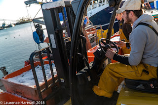 Through the Gaps! - Newlyn Fishing News: Brexit discussions in Newlyn ...