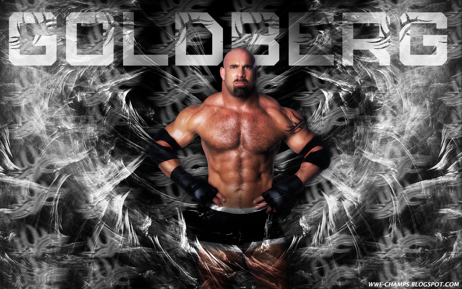 WWE CHAMPS: BILL GOLDBERG 'WHO'S NEXT?'