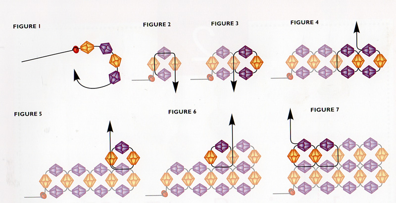 .: Book Review: I CAN right angle weave