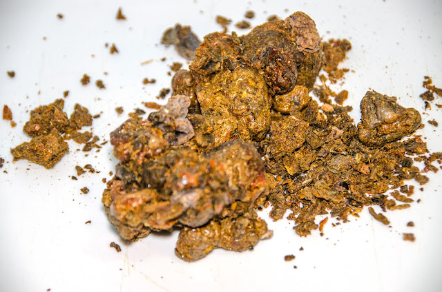 Propolis: What is Propolis and How to Prepare Propolis Tincture ...