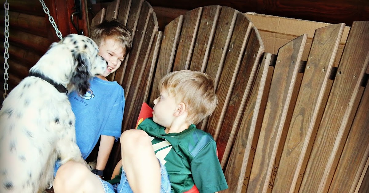 Two Bears Farm and the Three Cubs: A New Family Member