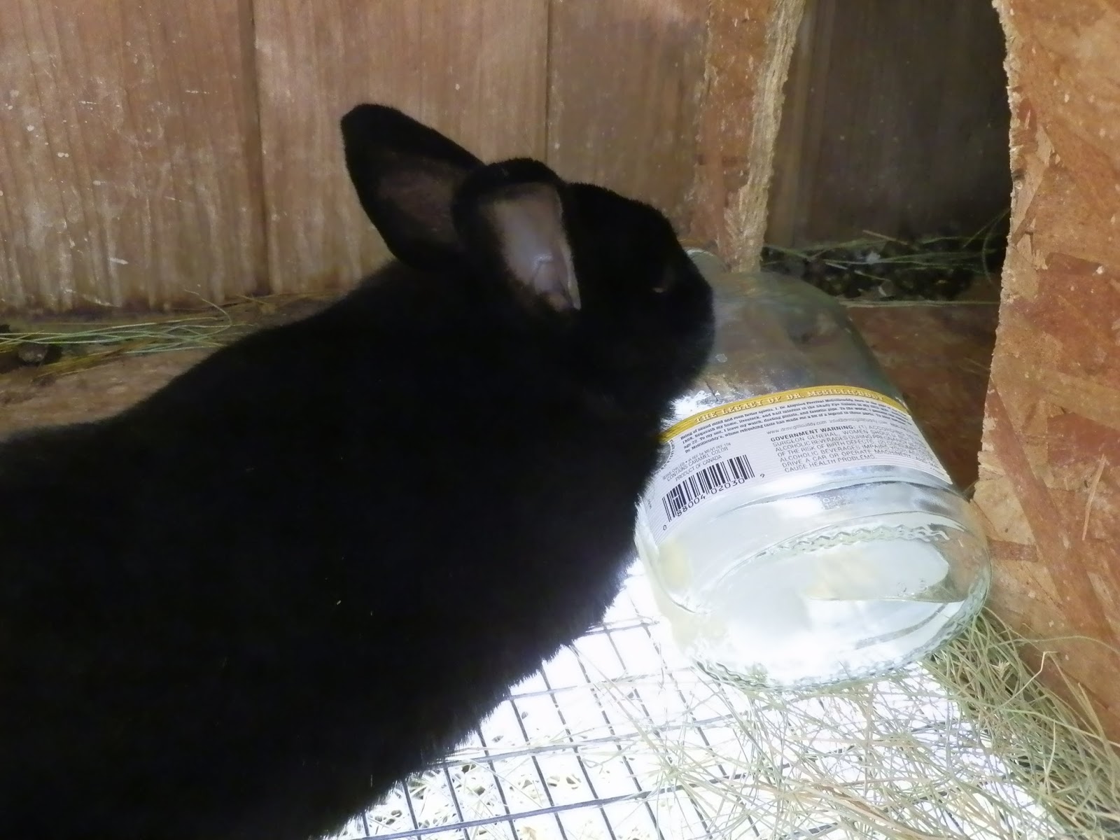 Our Bit of Dirt: Cooling off!