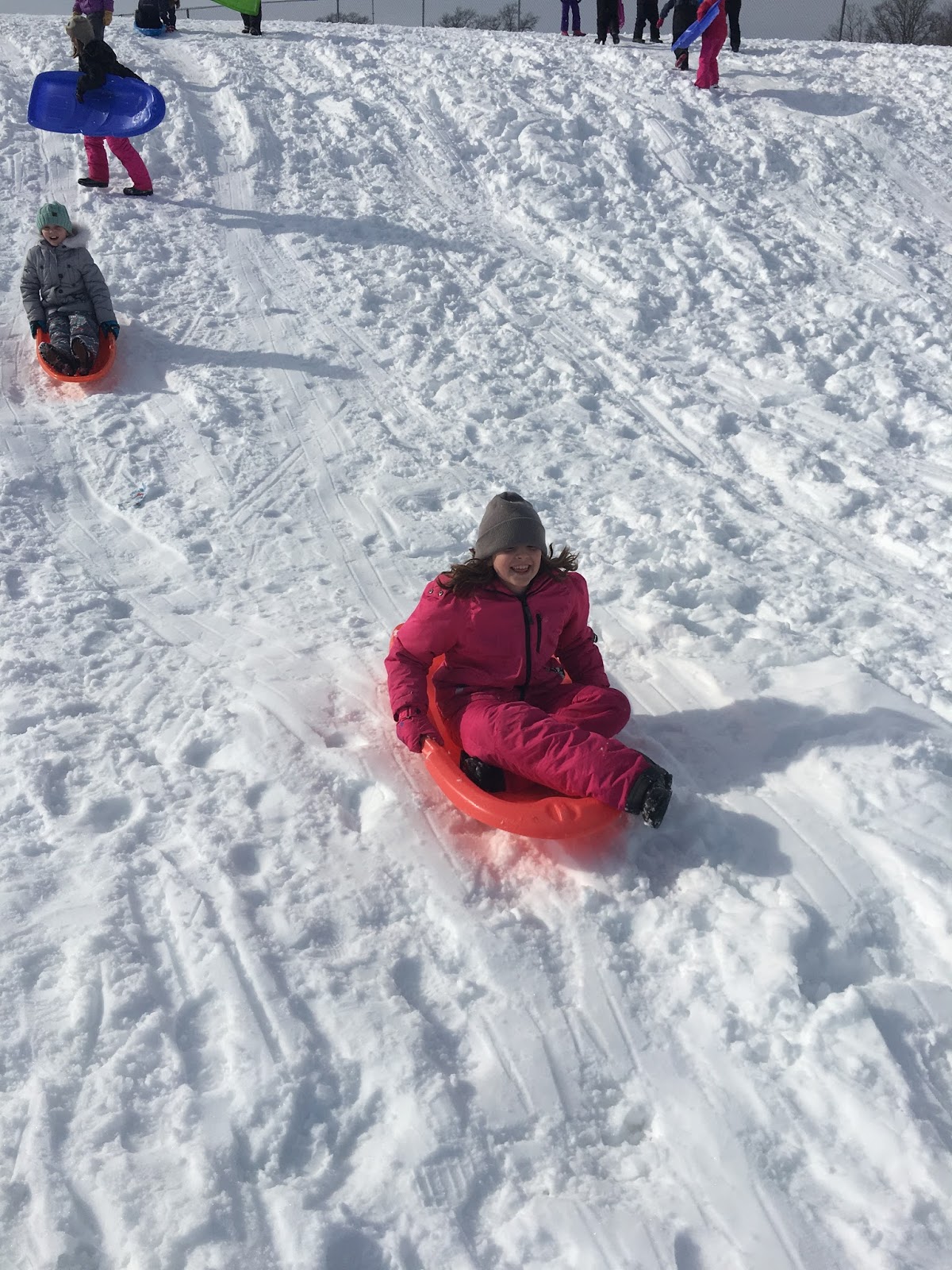 Mrs. Smith's classroom blog: All School Sledding