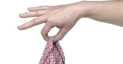 French Vocabulary Illustrated: chiffe