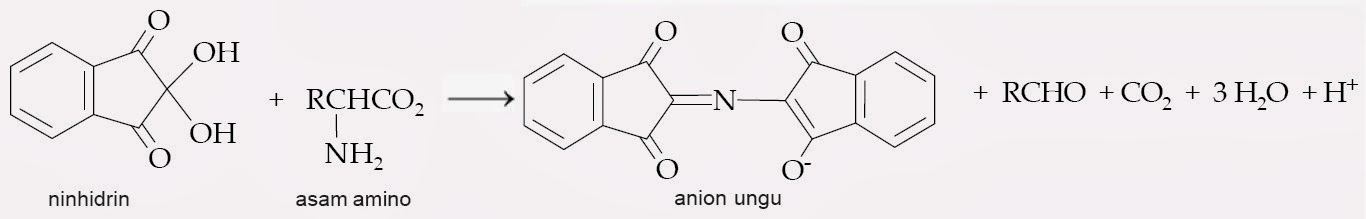 Mari Mencari Tau: Februari 2015