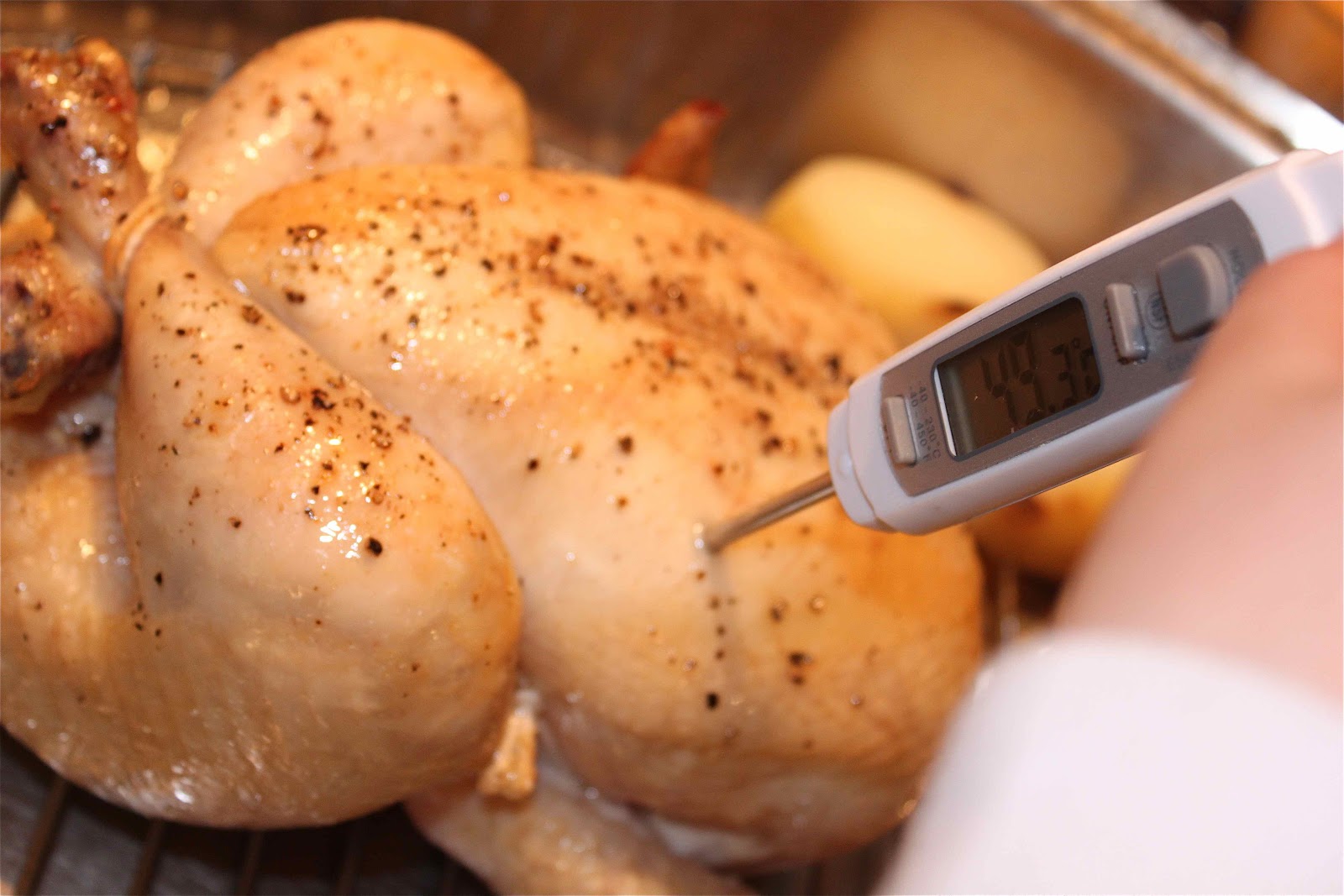 jennifer edwardson: February 2012