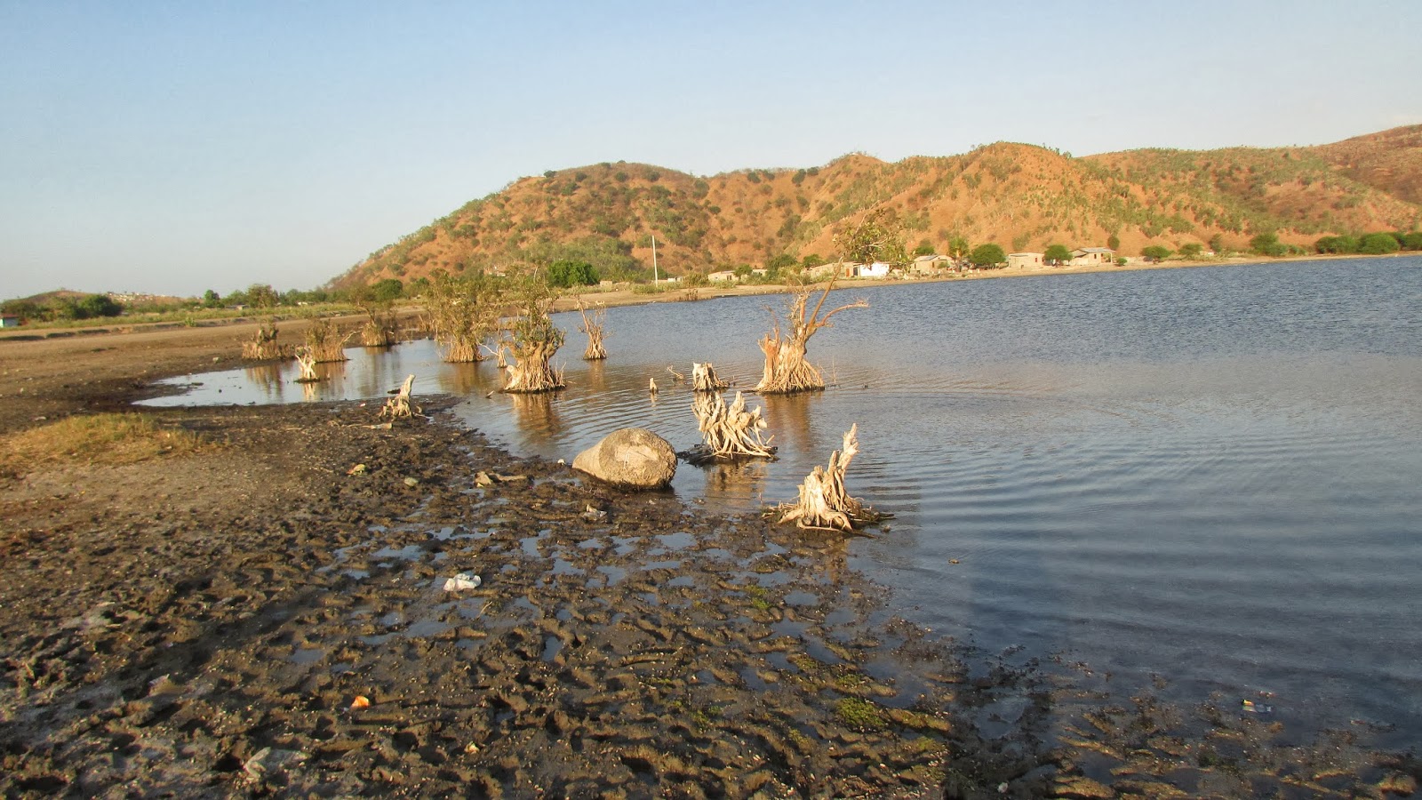 LAFAEK HAKEREK NARUK: TASI-TOLU REVISITED 1